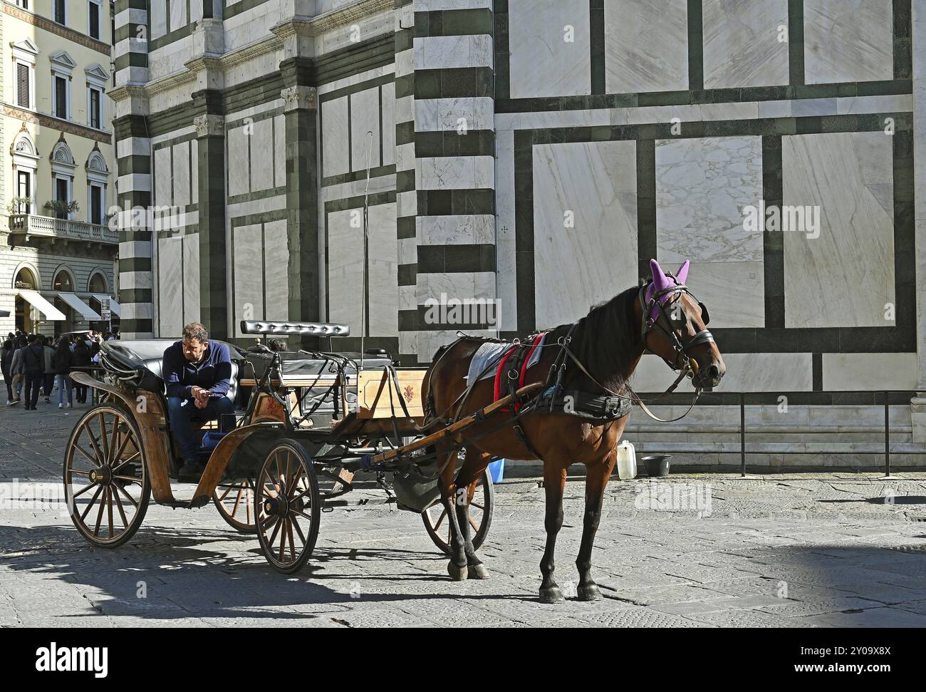 Horse and his hackney carriage in front of the baptistery Stock Photo ...