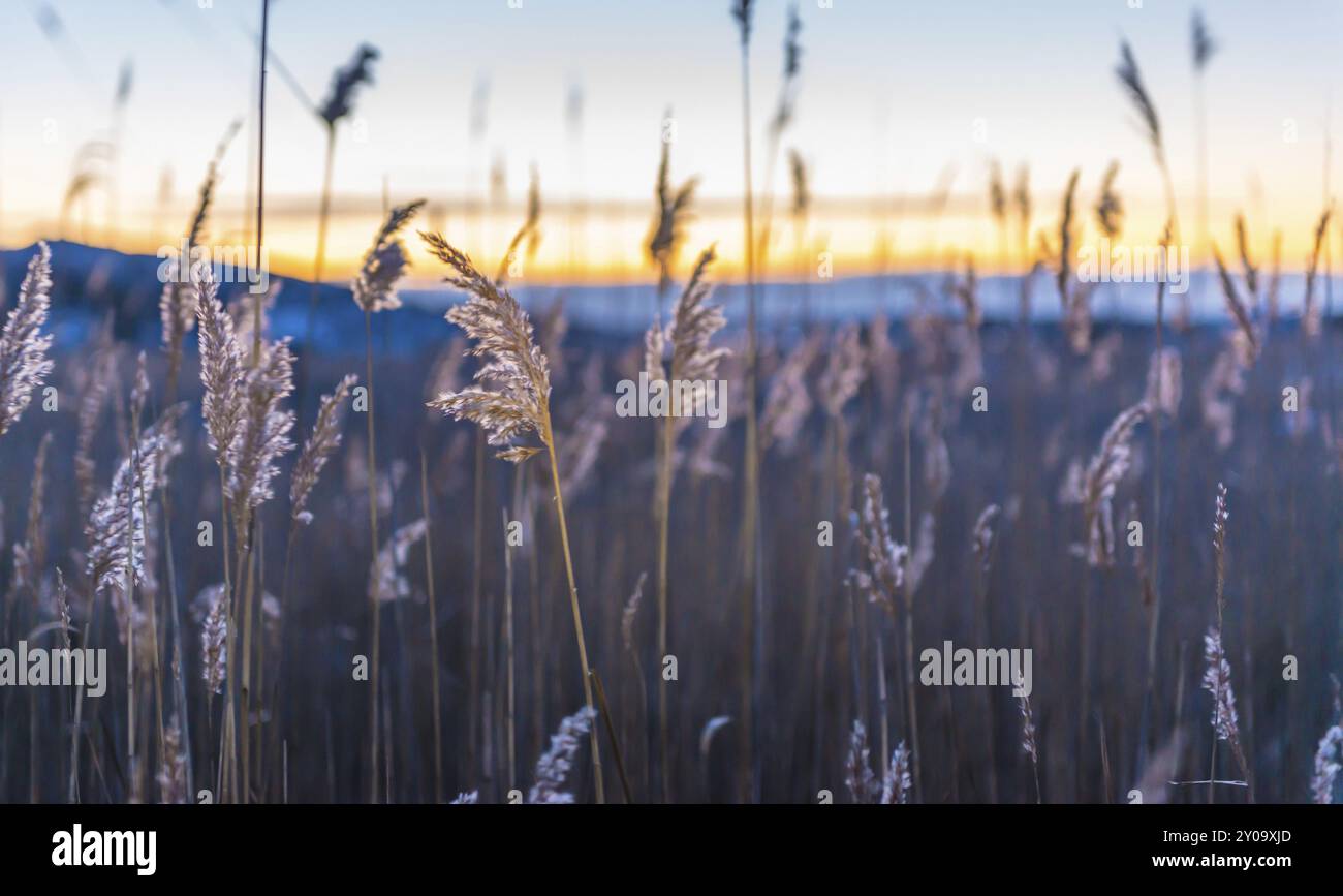 Frozen glory hi-res stock photography and images - Alamy