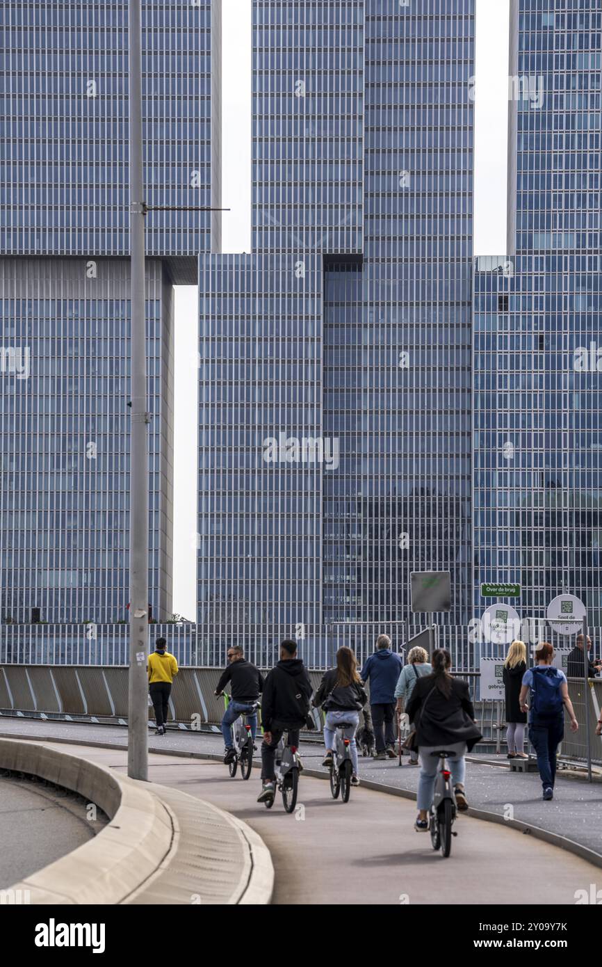Cyclist on the cycle path of the Erasmus Bridge over the Nieuwe Maas ...