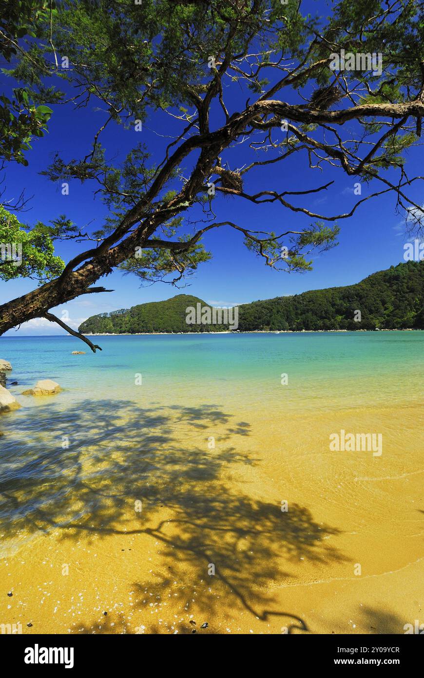 Sandy beach beach, Abel Tasman National Park, Tasman Sea, Nelson Region, South Island New ...