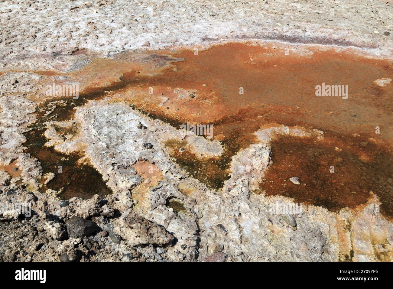Geyser del Tatio Stock Photo - Alamy