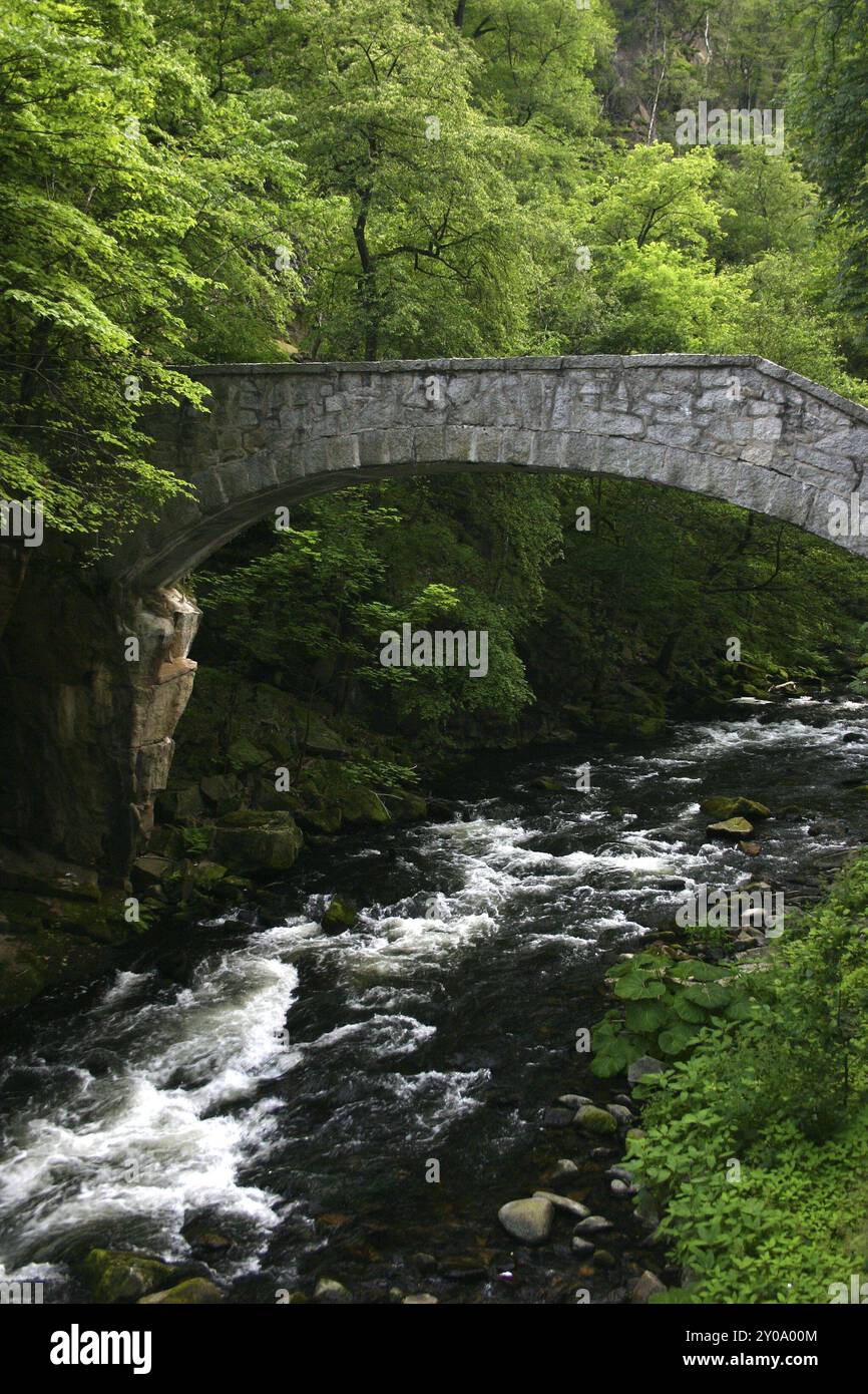 Maiden bridge in the Bode valley near Thale Stock Photo - Alamy