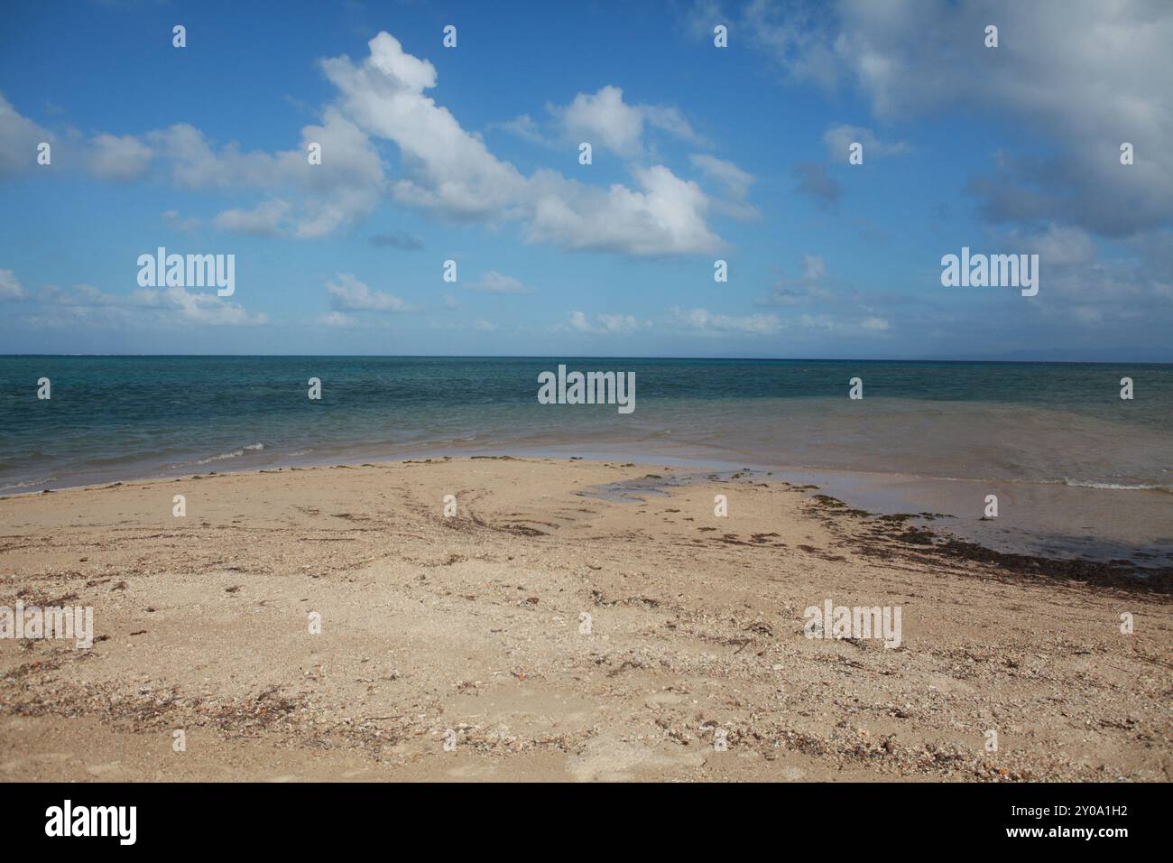 Beautiful tropical island lagoon lam tree landscape, Fiji Stock Photo ...
