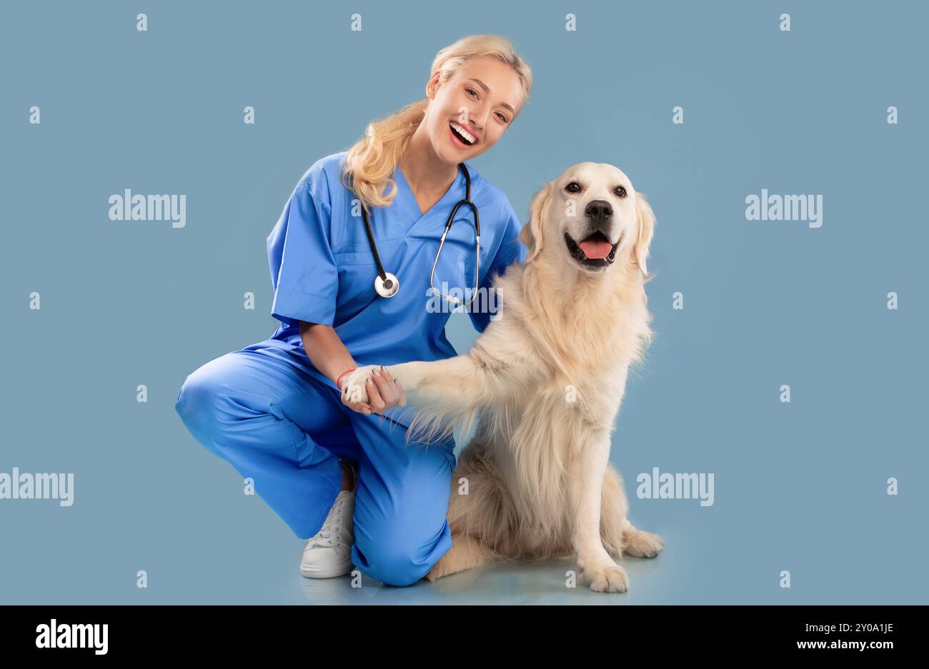 Nurse In Scrubs Uniform And Stethoscope Posing With Dog Stock Photo - Alamy