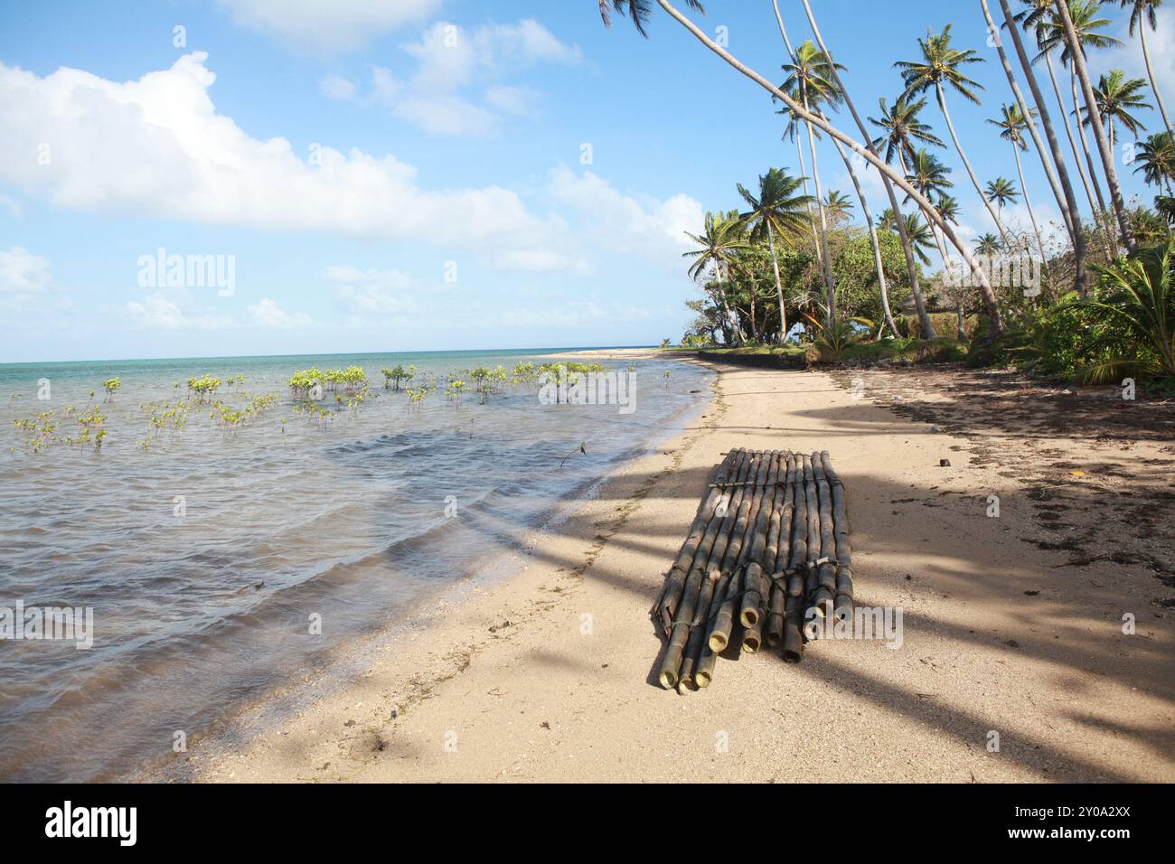 Bilibili traditional bamboo raft, Fiji Stock Photo - Alamy