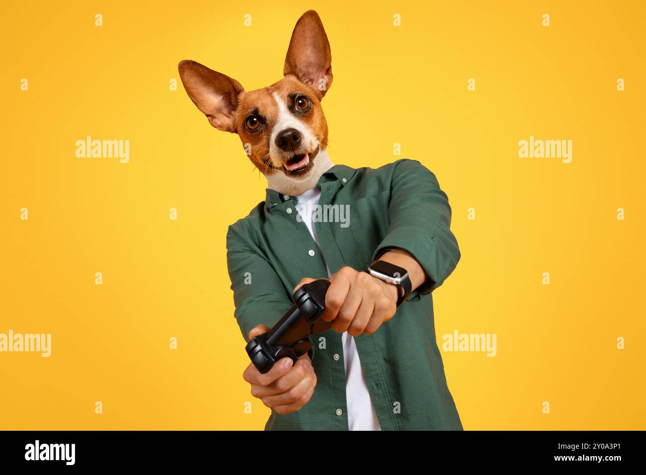 Dog-Headed Person Playing Video Games With Controller Stock Photo - Alamy