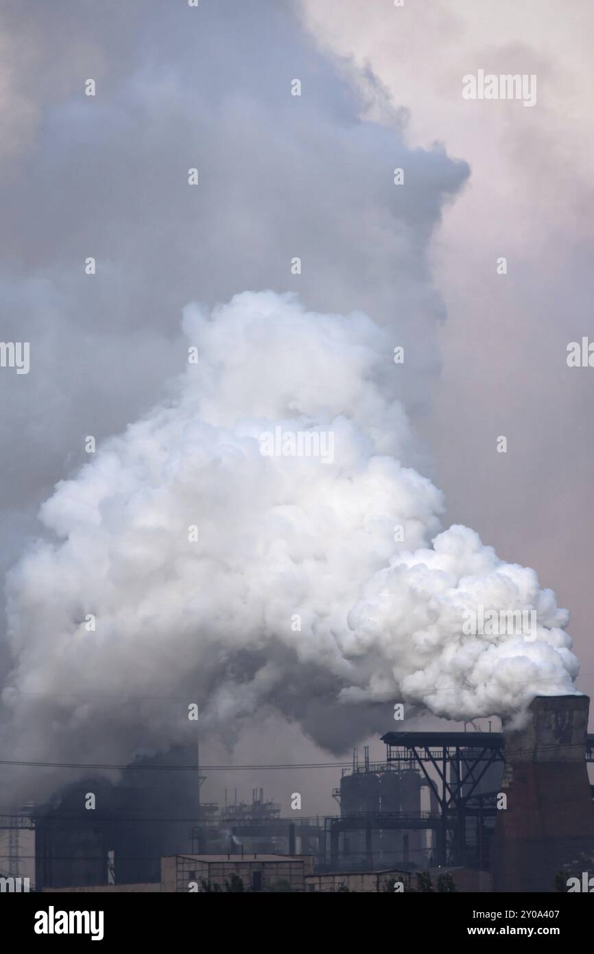 Plant with smoke. Air pollution Stock Photo - Alamy