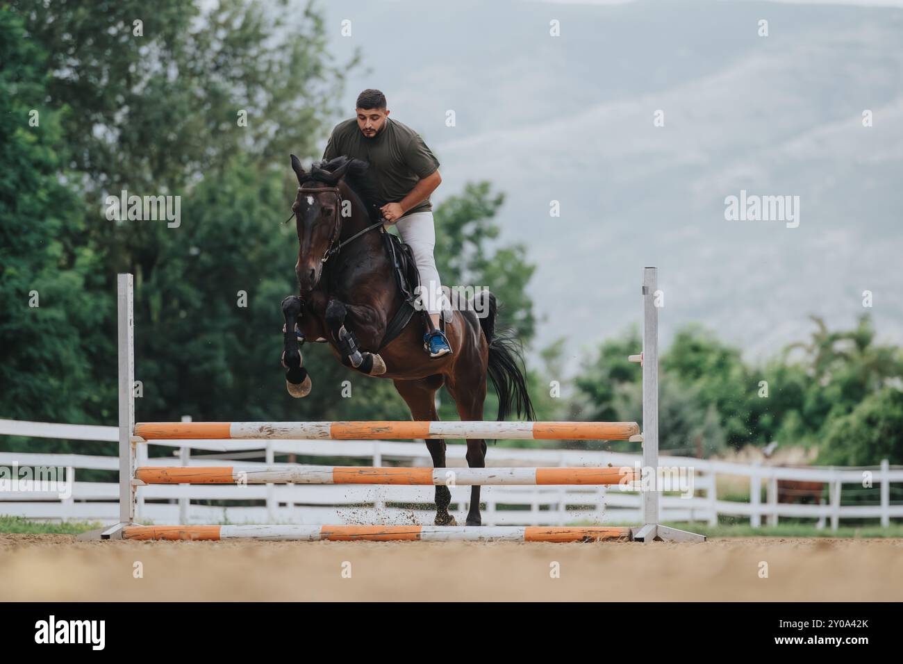 Man riding a horse and jumping over an obstacle during an equestrian ...