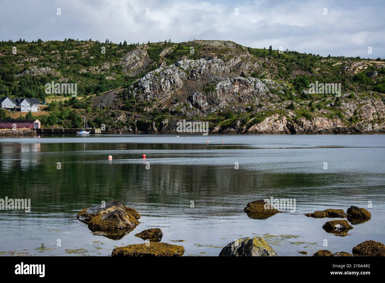 The bay in Brigus, Newfoundland & Labrador, Canada Stock Photo - Alamy
