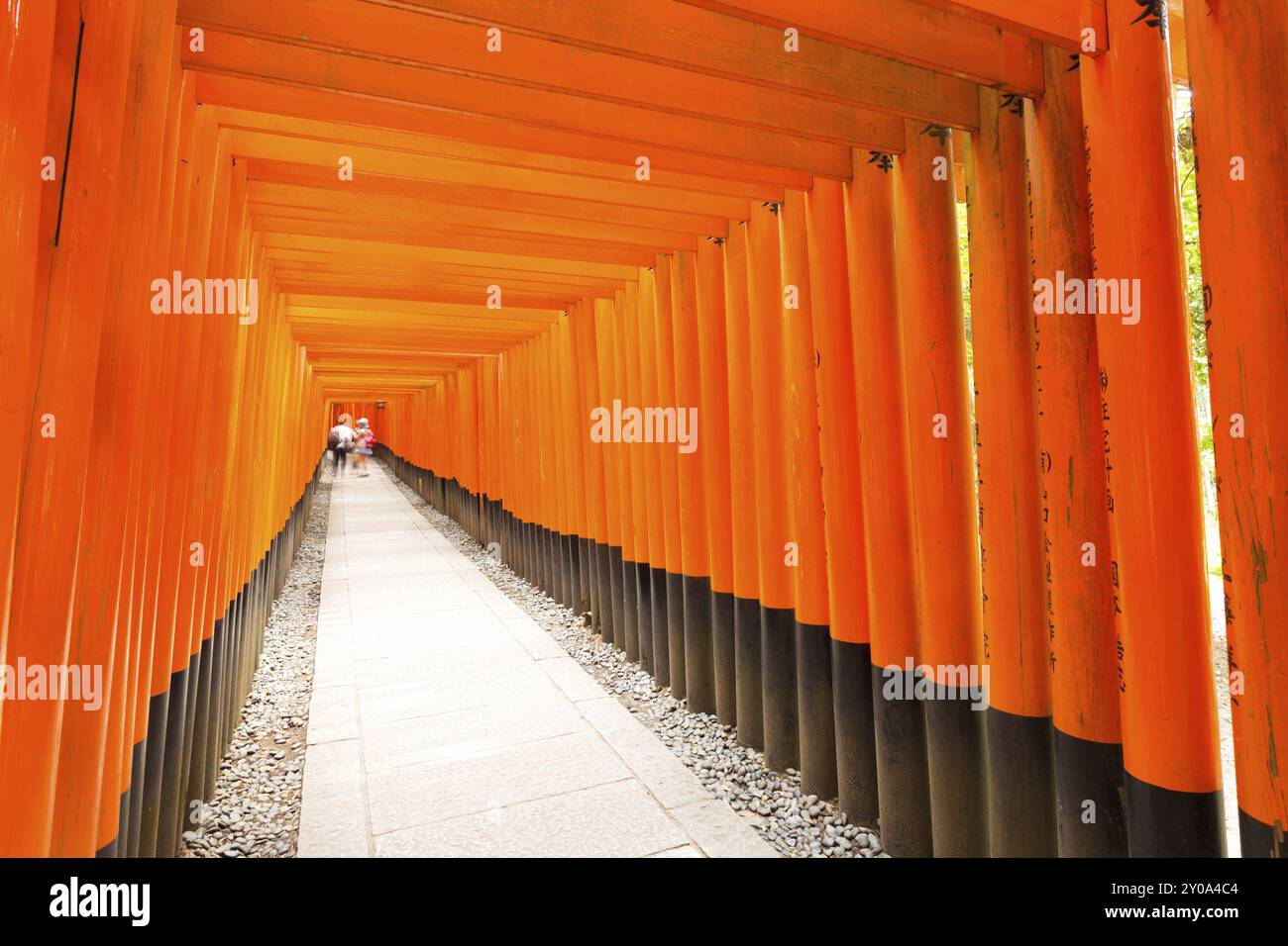 Tourists walking inside the end vanishing point of the repetitive red ...