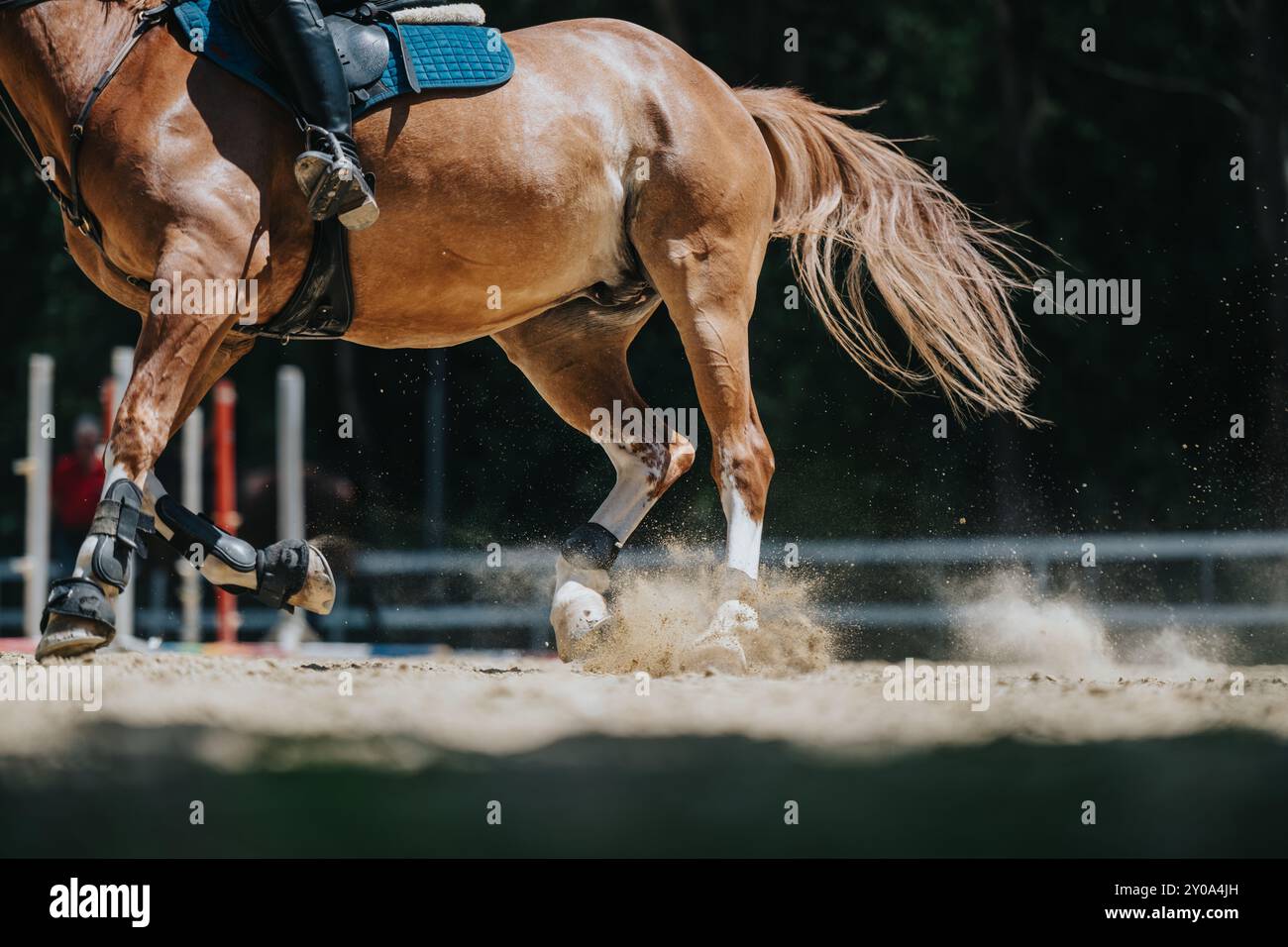 Close-up of horse legs in motion during equestrian event with rider and ...