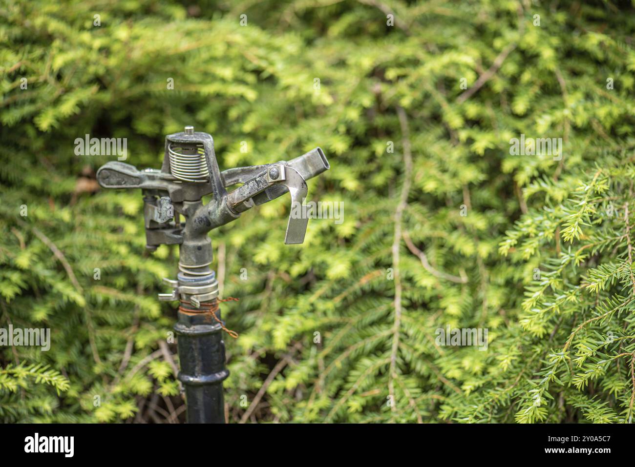 Water sprinkler in park waters hi-res stock photography and images - Alamy