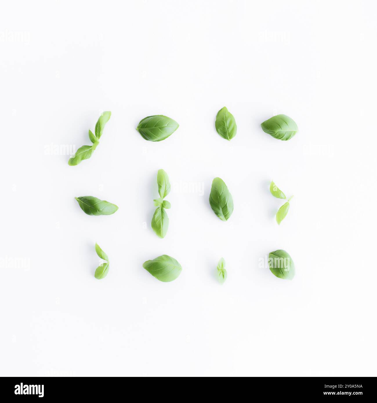 Flat lay with green basil and mint leaves on white background. Healthy ...