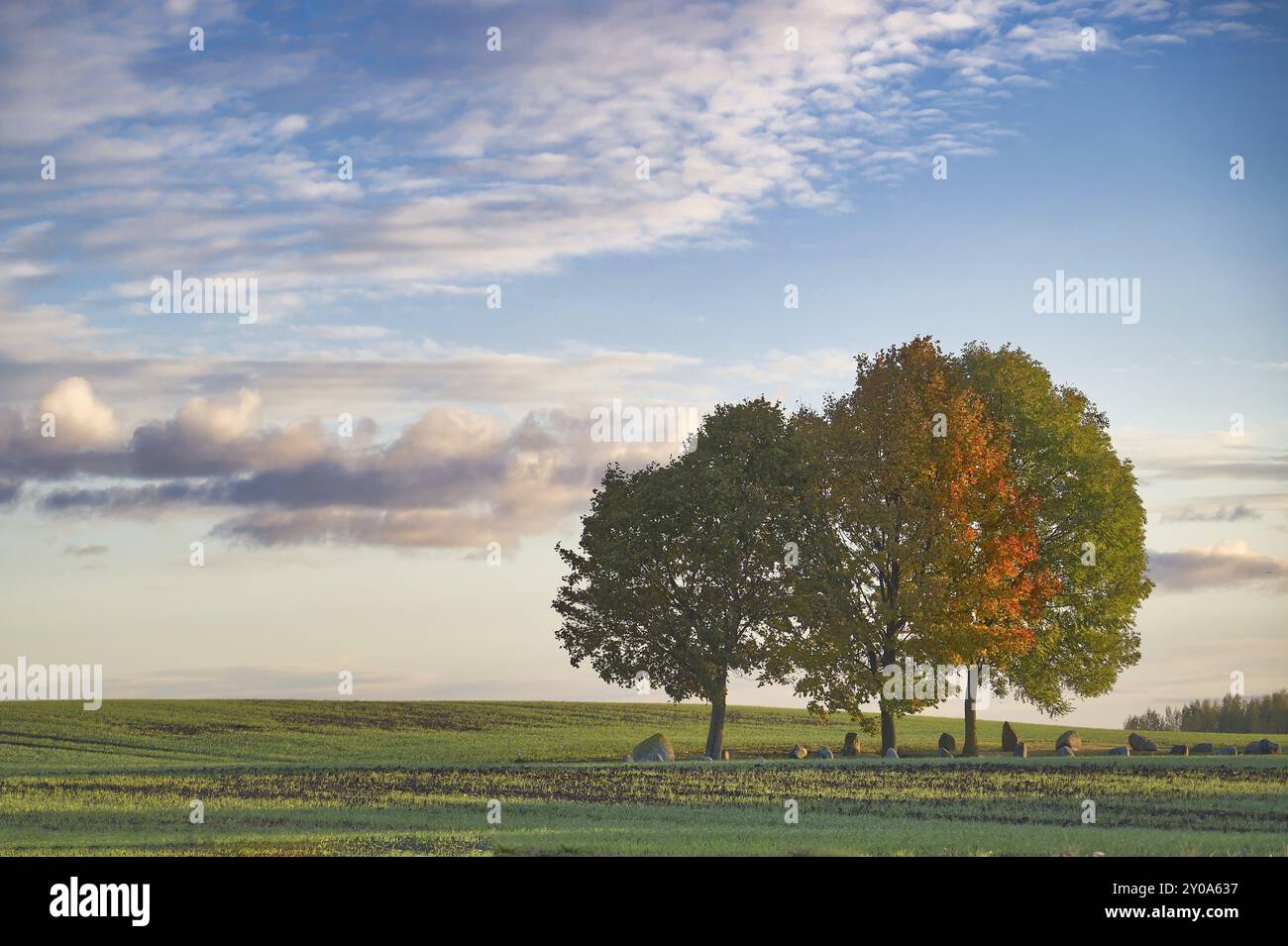 Exhibiting multiple shades hi-res stock photography and images - Alamy