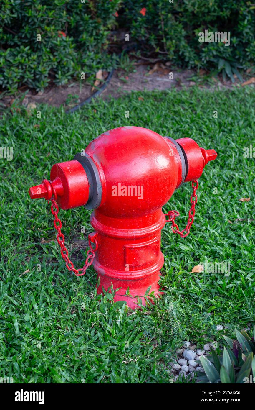 Red fire hydrant on a green lawn. A device connected to a water supply ...
