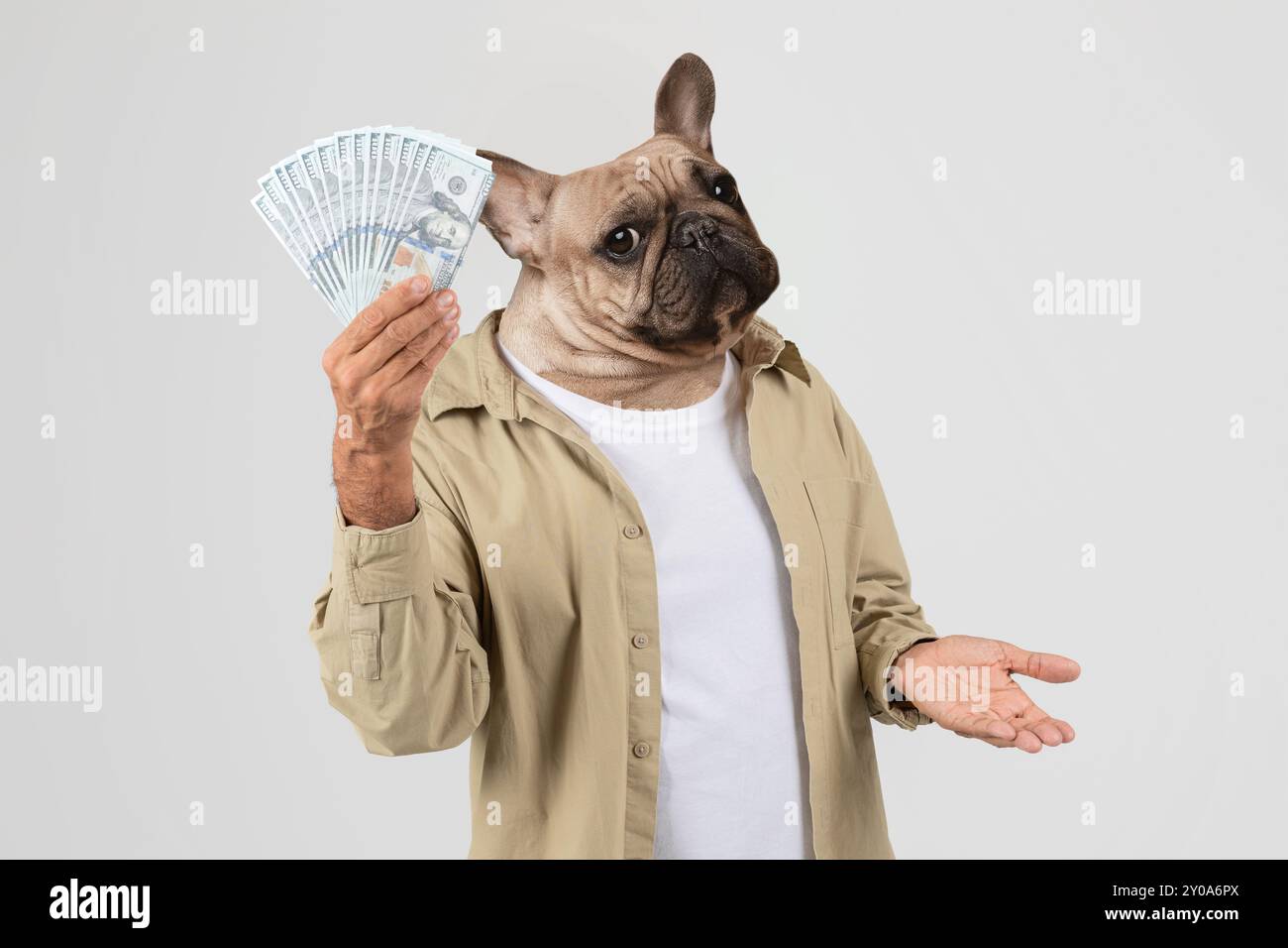 Humorous Illustration of Dog Holding Cash in a Studio Setting Stock ...