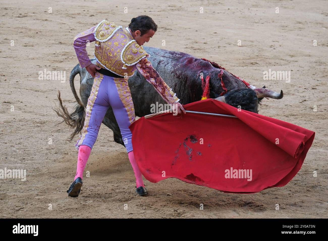 Bullfighter Damian Castaño during the bullfight of Corrida de Toros in ...