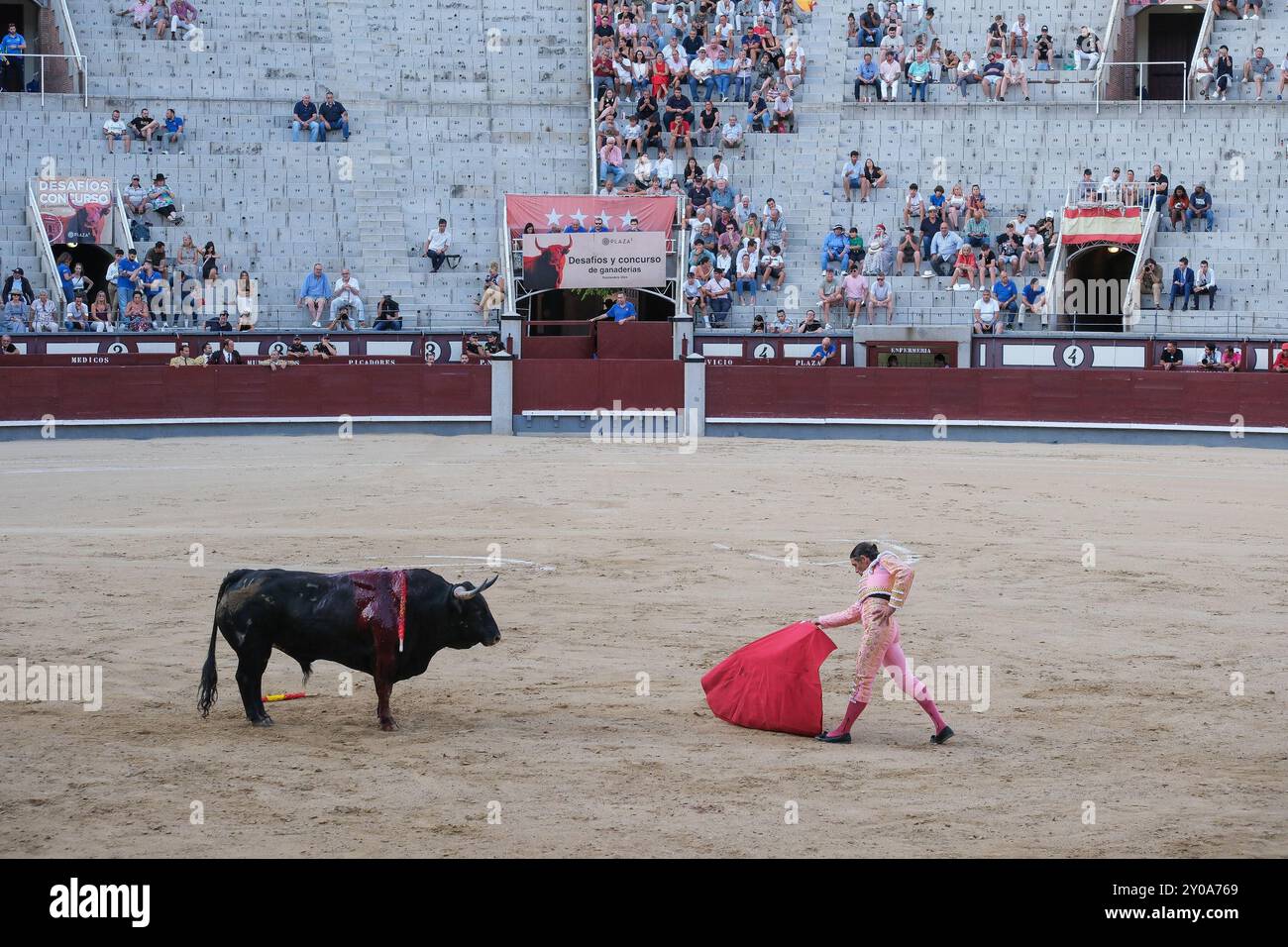 Bullfighter Sanchez Vara during the bullfight of Corrida de Toros in ...