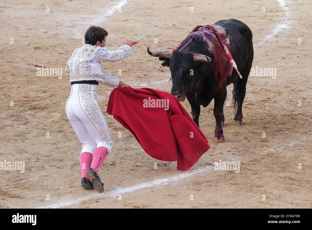 Bullfighter Ruben Pinar during the bullfight of Corrida de Toros in the ...