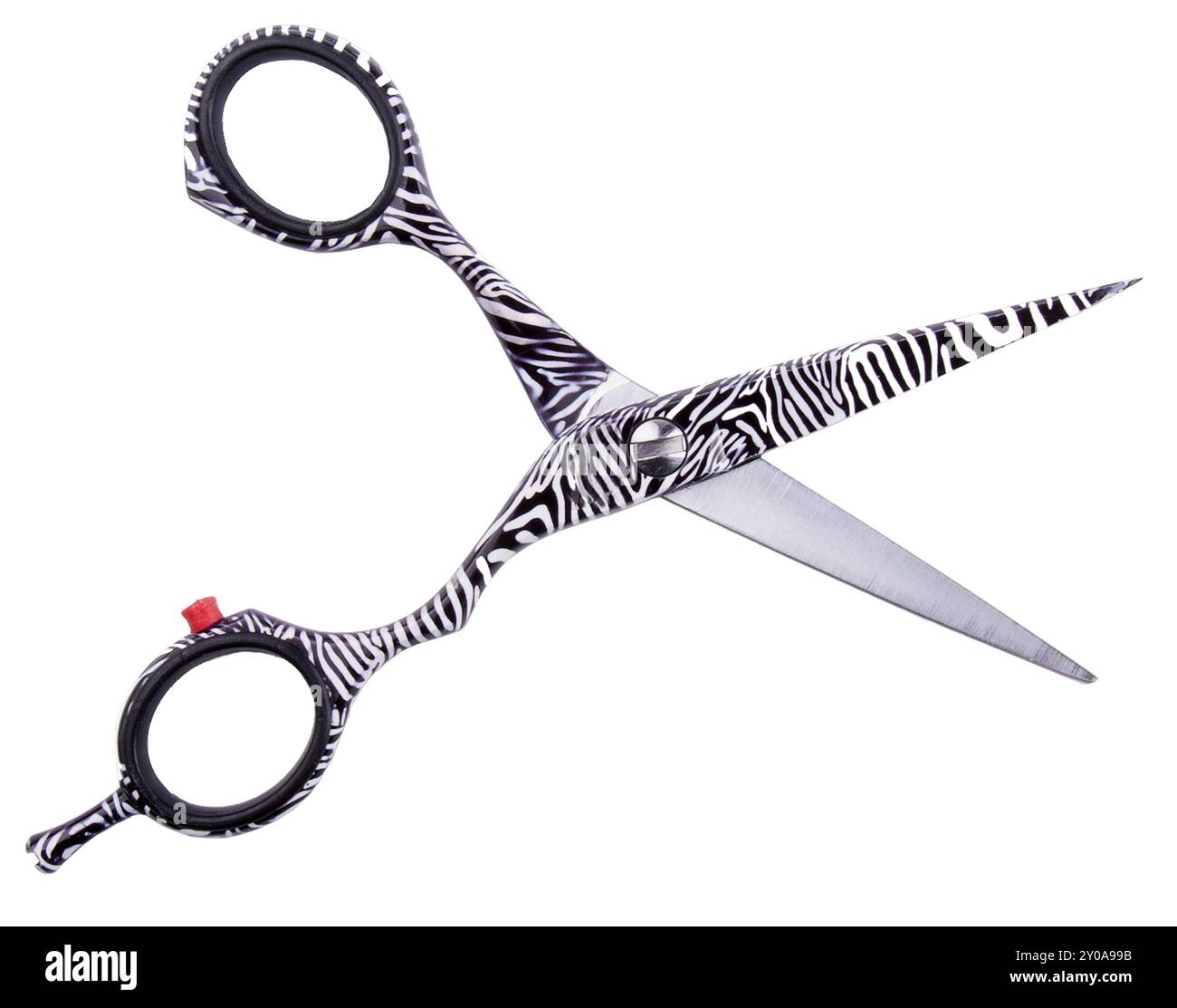 Professional open scissors, painted like a zebra, used in hairdressing ...