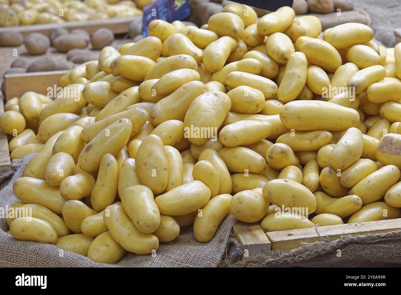 Big pile of french potatoes Stock Photo - Alamy