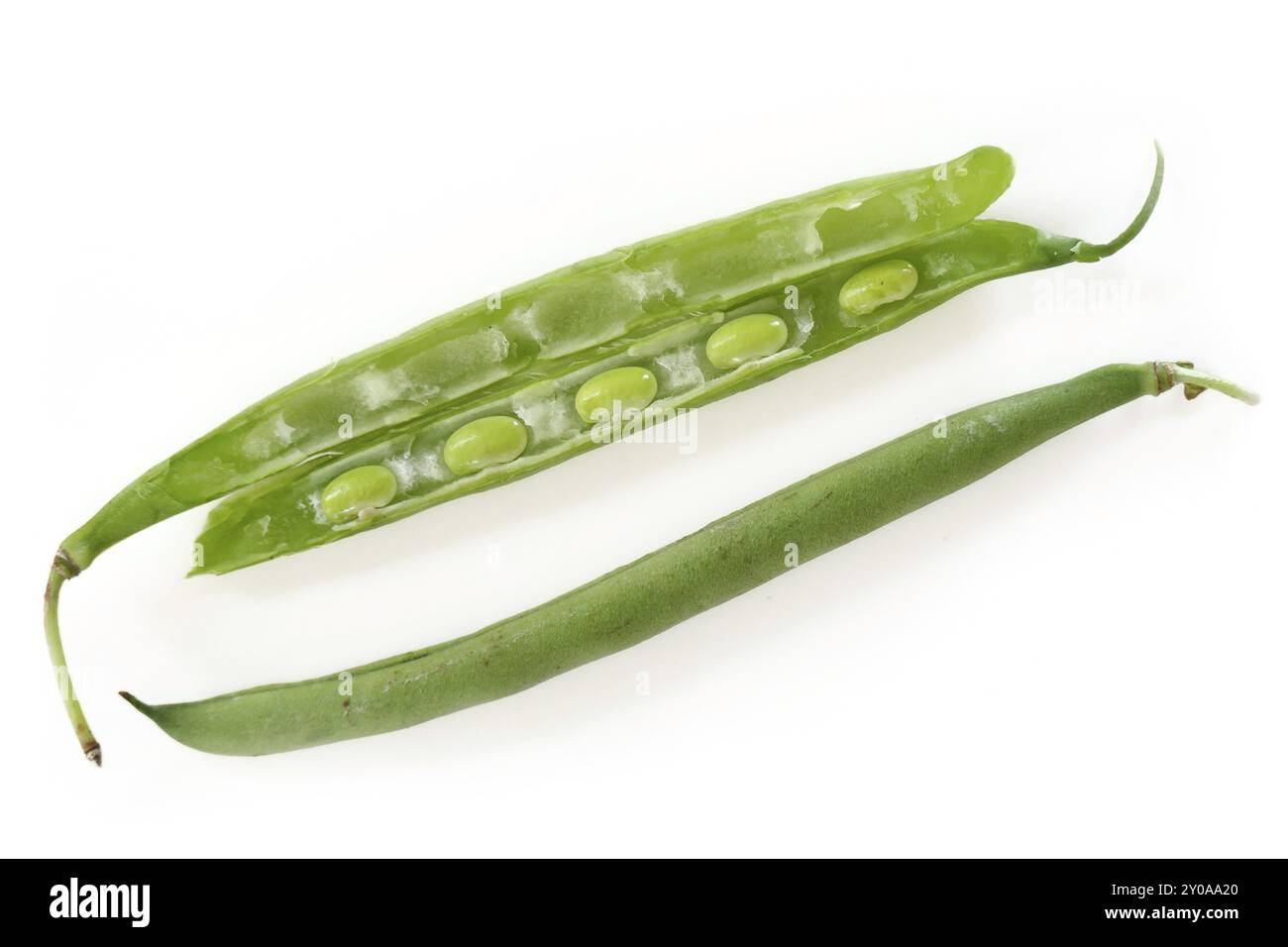 Green beans, whole and half cut, view inside, with seed, isolated on a ...