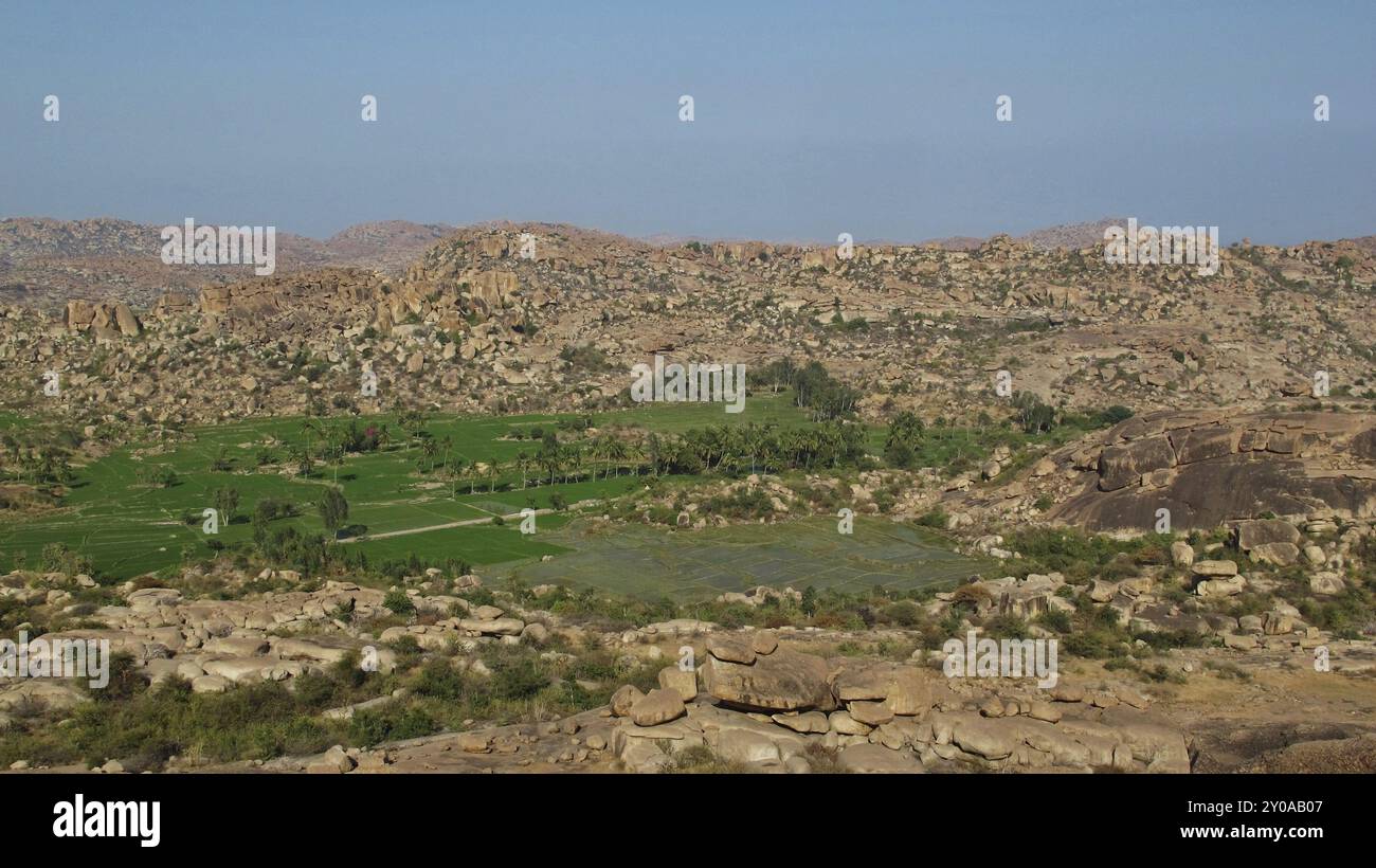 Green oasis of rice fields between granite mountains. Unique landscape ...