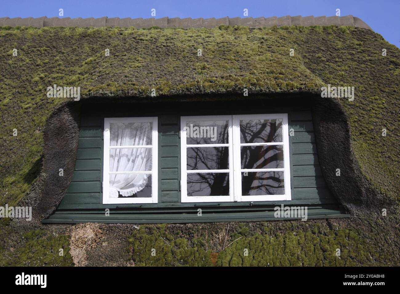 Window in a mossy thatched roof Stock Photo - Alamy