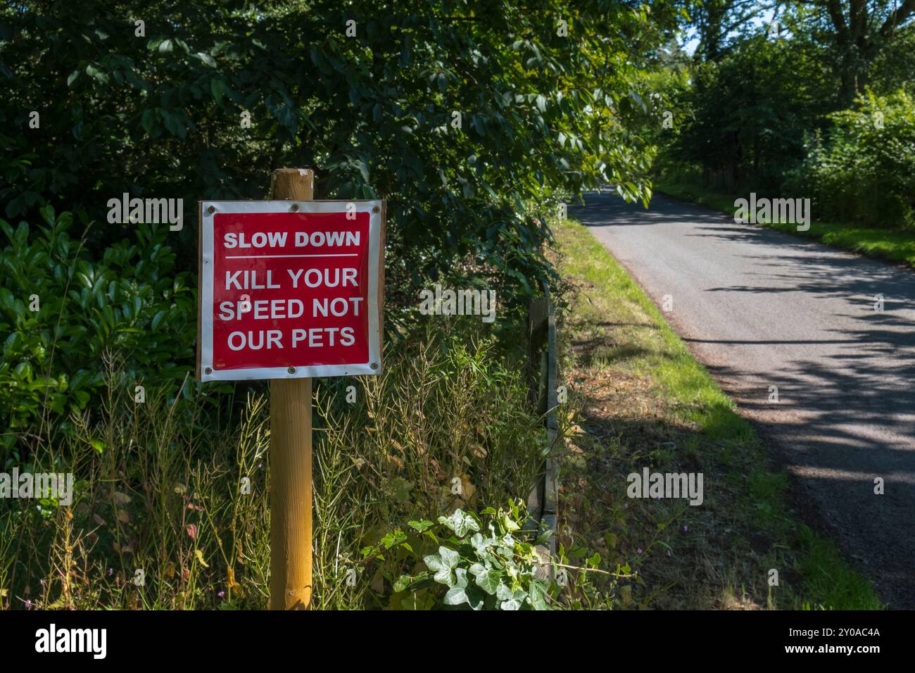 "Slow Down Kill Your Speed Not our Pets" sign, Suffolk, UK Stock Photo ...