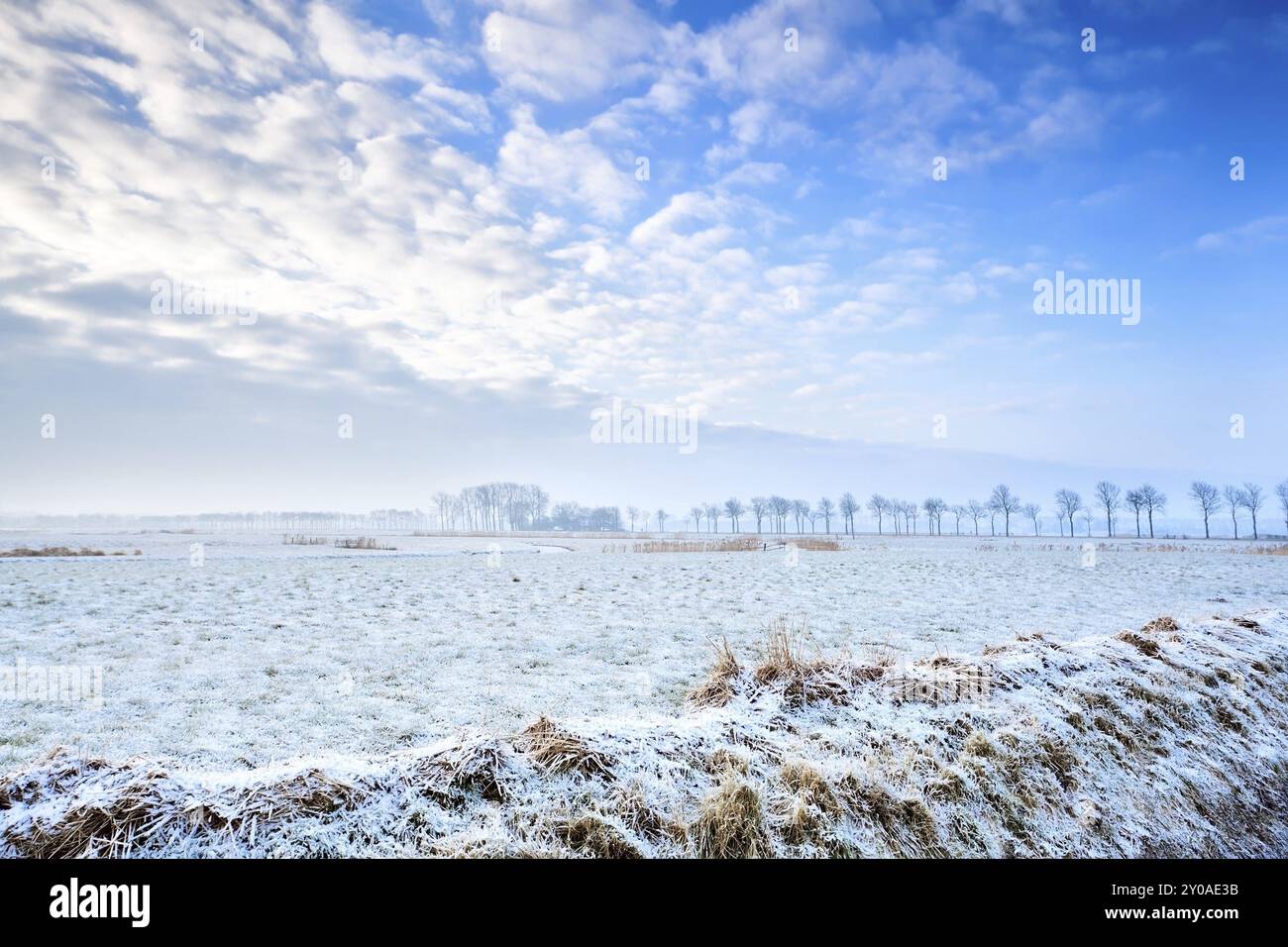 Serene landscapes netherlands hi-res stock photography and images - Alamy