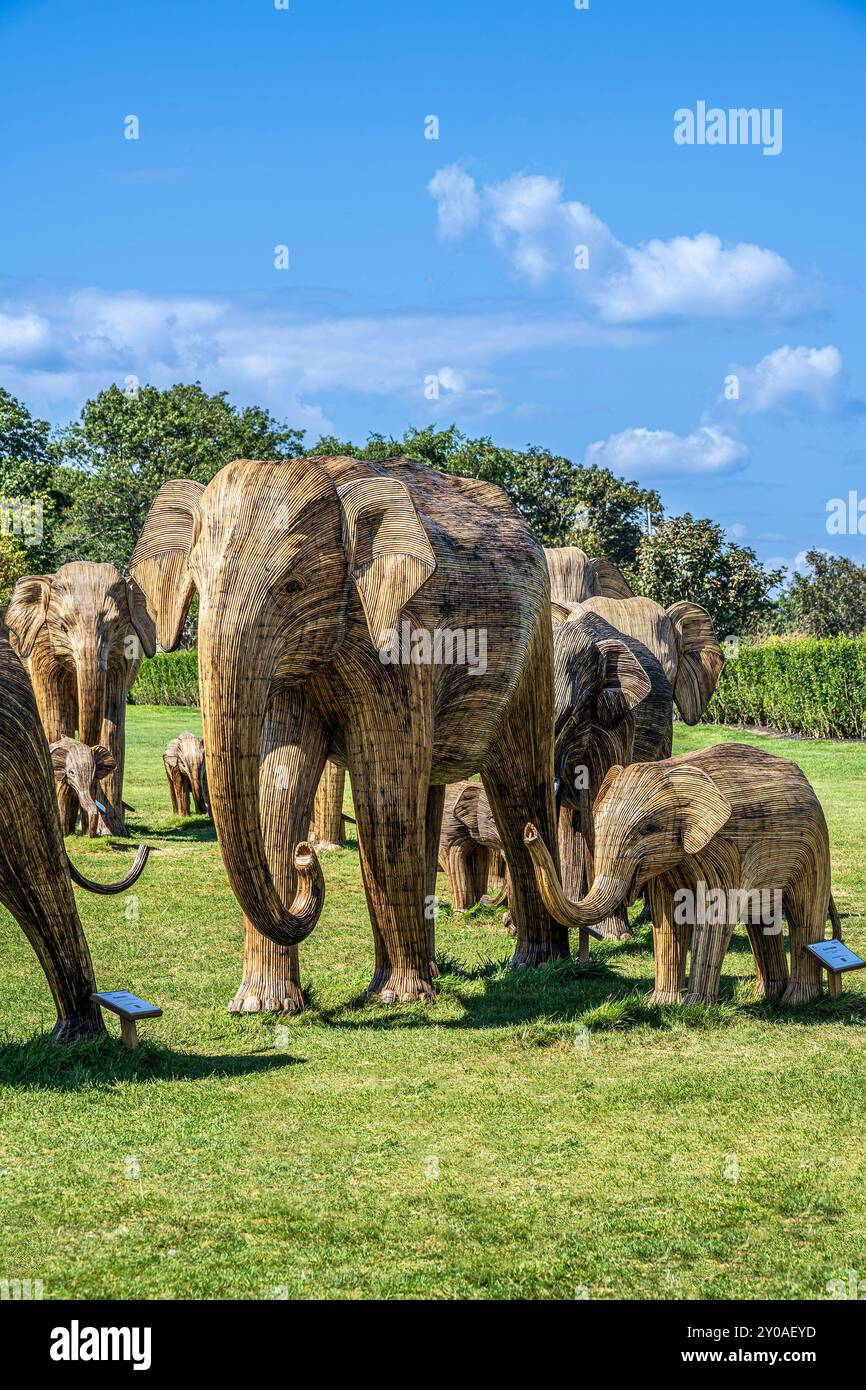 The Great Elephant Migration Stock Photo - Alamy
