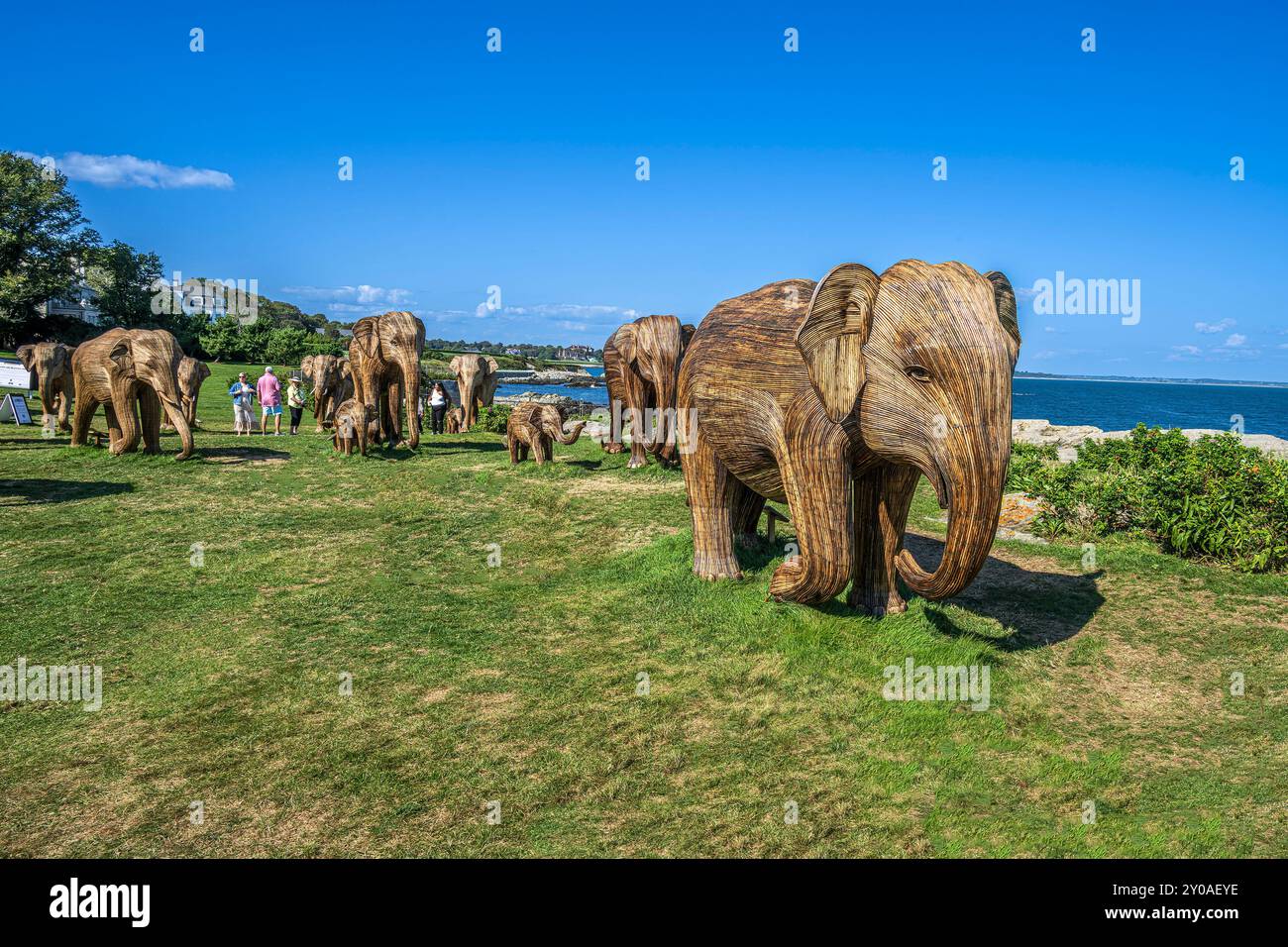 The Great Elephant Migration Stock Photo - Alamy