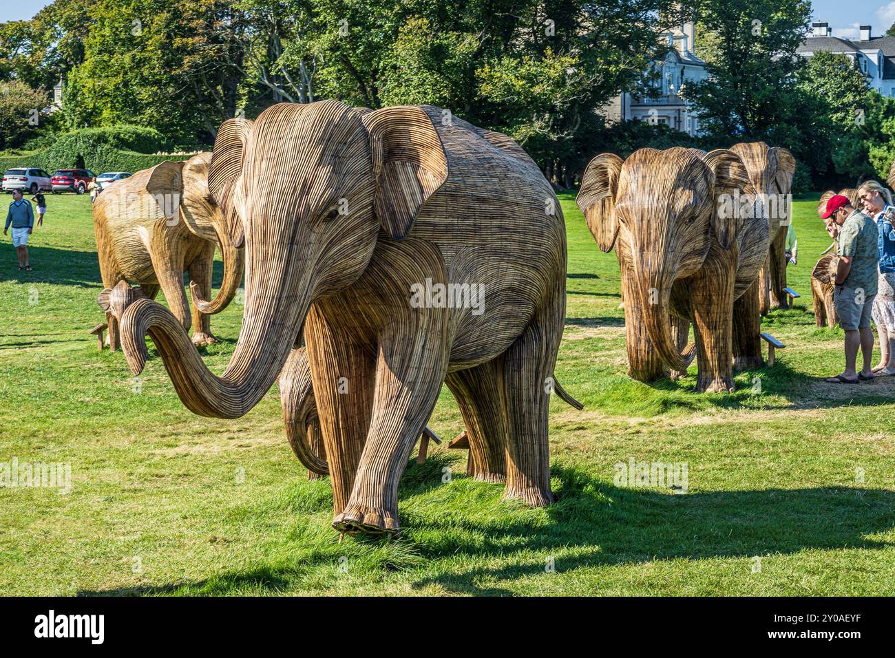 The Great Elephant Migration Stock Photo - Alamy