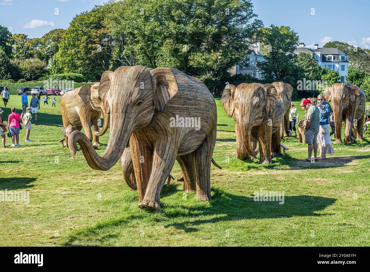The Great Elephant Migration Stock Photo - Alamy