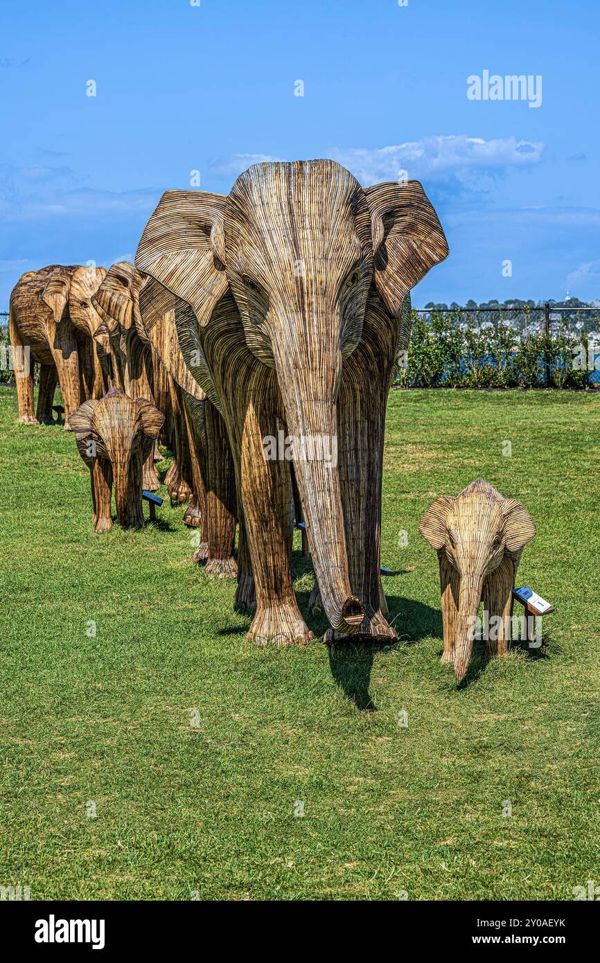 The Great Elephant Migration Stock Photo - Alamy