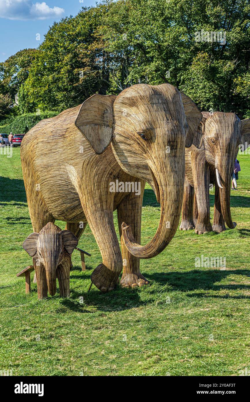 The Great Elephant Migration Stock Photo - Alamy