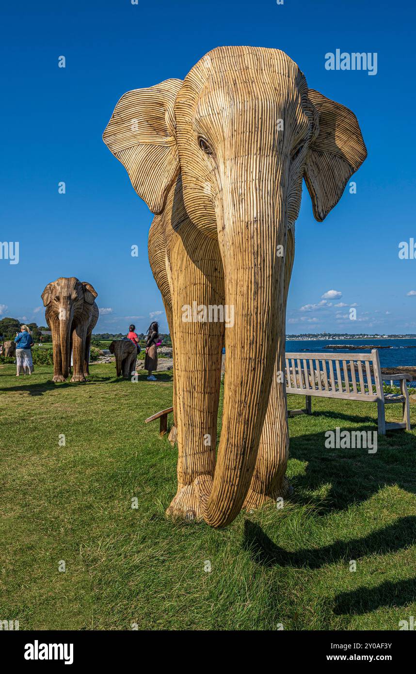 The Great Elephant Migration Stock Photo - Alamy
