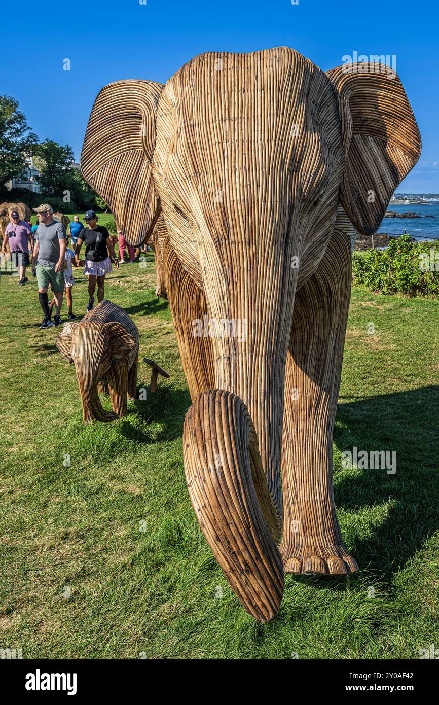 The Great Elephant Migration Stock Photo - Alamy
