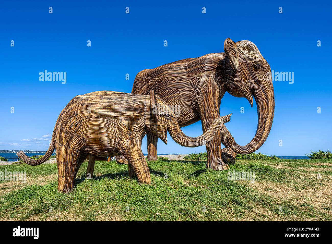 The Great Elephant Migration Stock Photo - Alamy