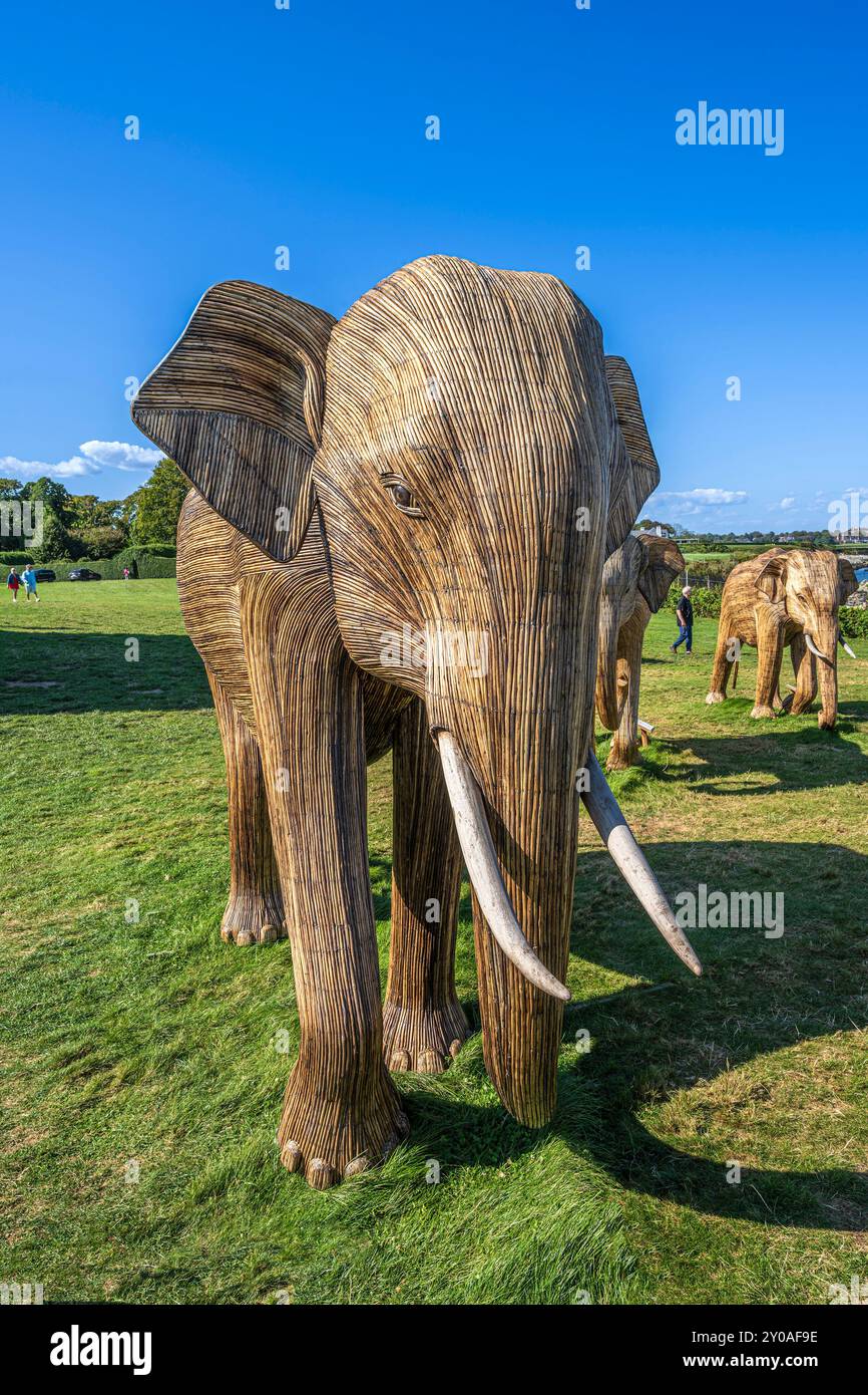 The Great Elephant Migration Stock Photo - Alamy