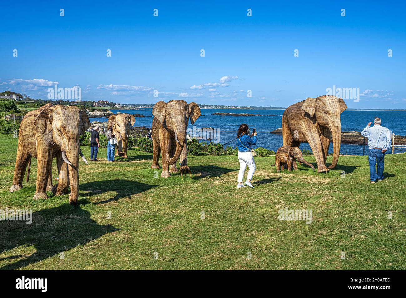 The Great Elephant Migration Stock Photo - Alamy