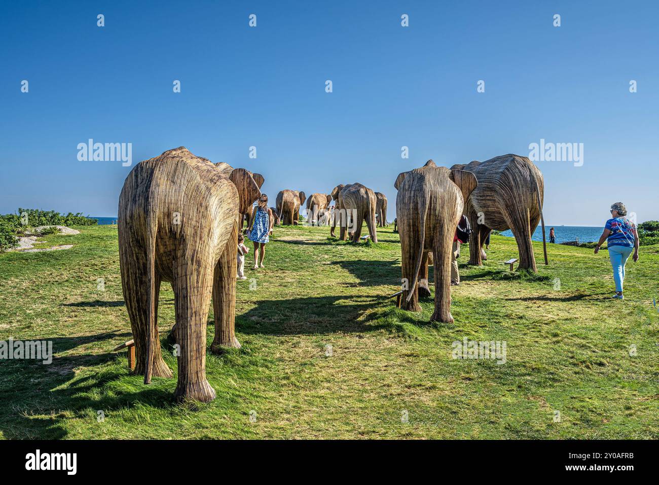 The Great Elephant Migration Stock Photo - Alamy