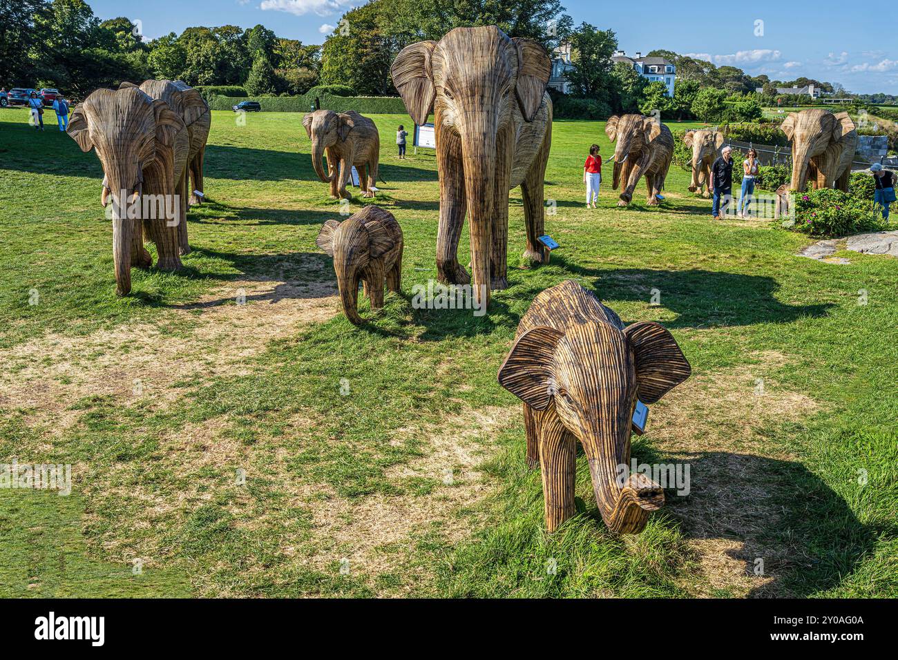 The Great Elephant Migration Stock Photo - Alamy