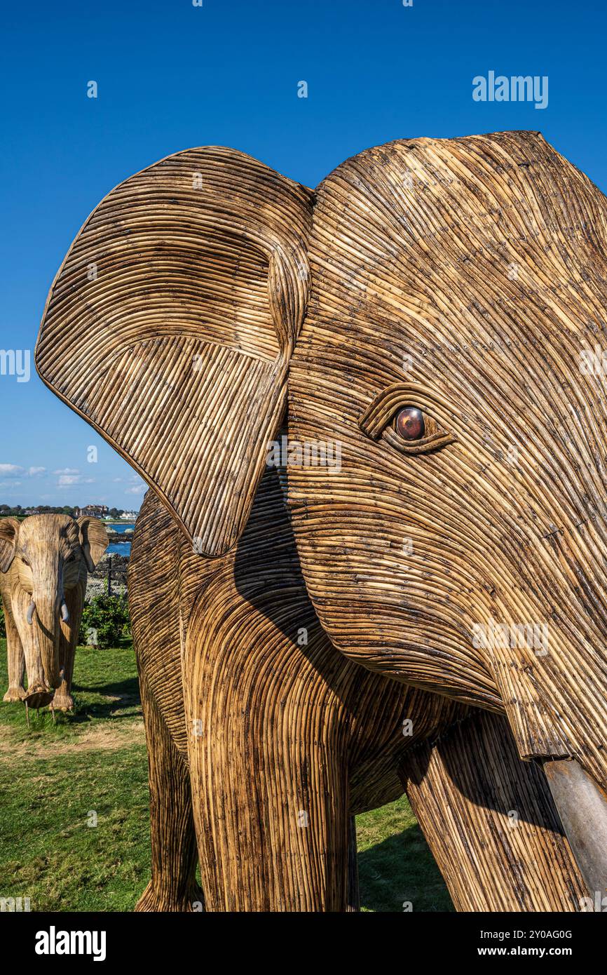 The Great Elephant Migration Stock Photo - Alamy