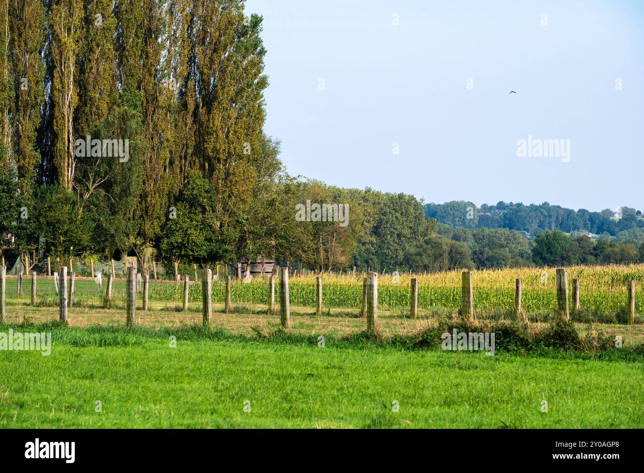 Green fields and meadows at the Flemish countryside in Affligem ...