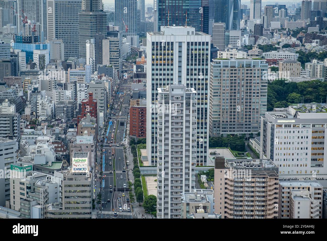 Tokyo cityscape. Panoramic aerial view over the city from the ...