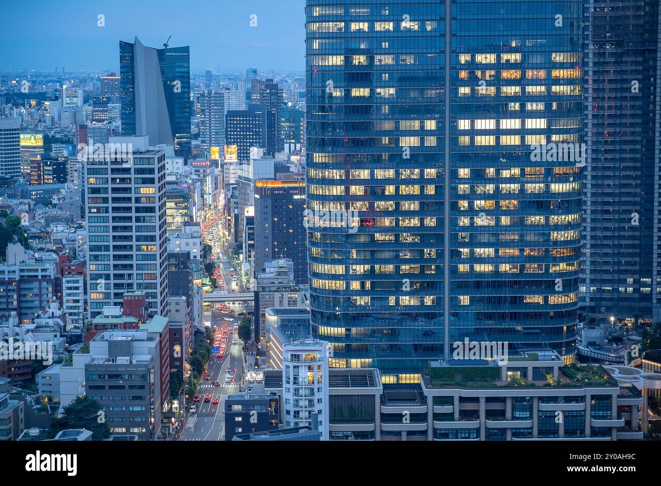 Tokyo cityscape. Panoramic aerial view over the city from the ...