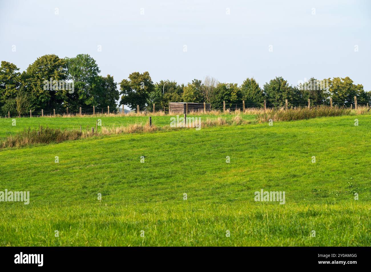 Green fields and meadows at the Flemish countryside in Affligem ...