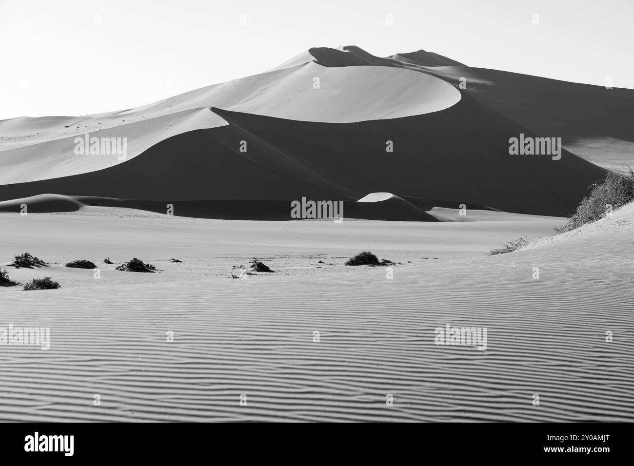 Africa namibia sossusvlei Black and White Stock Photos & Images - Alamy