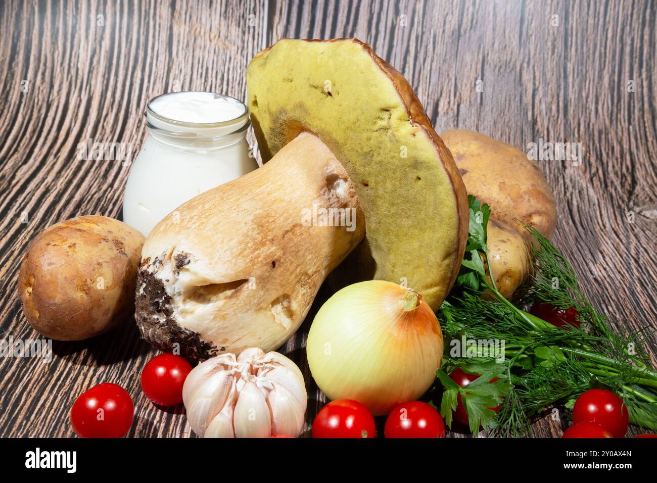 Roast mushroom Boletus edulis. Ingredients for cooking roast: large ...